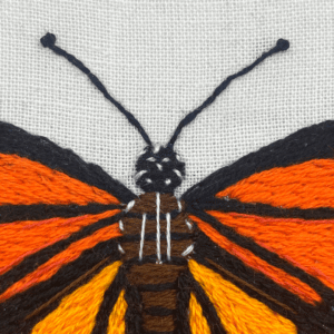 Easy Hand Butterfly Embroidery Kit for Beginners - Treasure Kave Embroidery